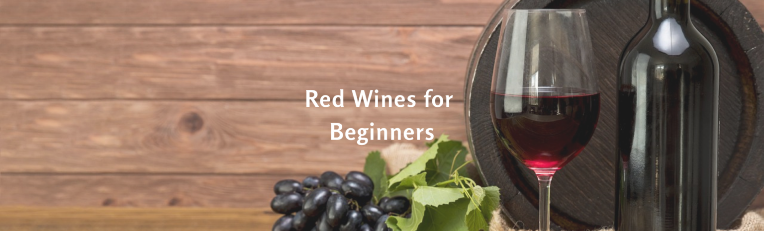 The Best Styles of Red Wines for Beginners