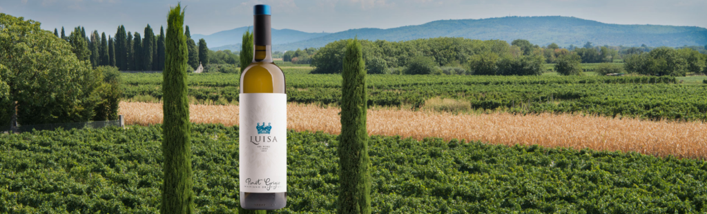 2021 Luisa Sauvignon, Isonzo del Friuli DOC