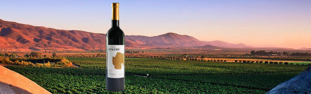 2019 Casa Magoni Nebbiolo: Structure, Dark Fruit & Power