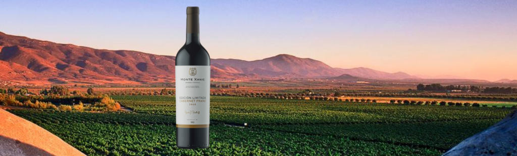 Our Favorite Wine of 2023: Monte Xanic Limited Edition