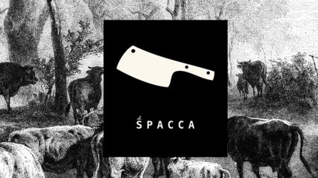 Chi Spacca - Cork and Journey