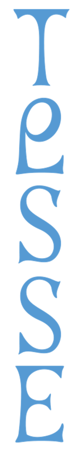 Tesse Restaurant - Cork and Journey