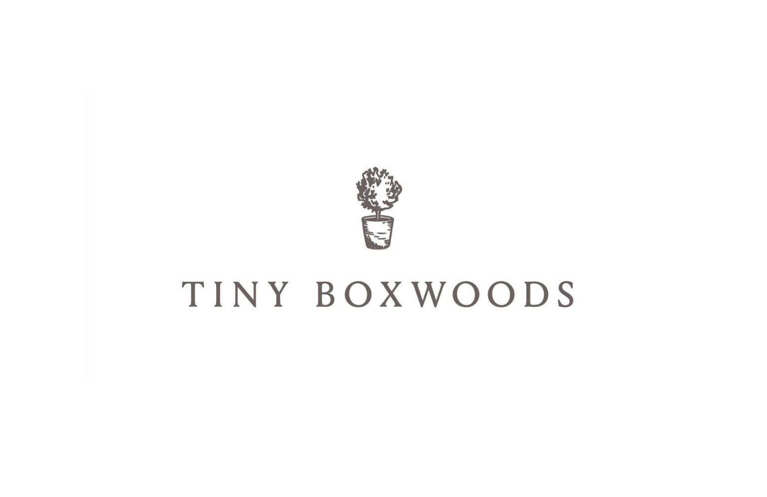 Tiny Boxwoods - Houston, TX - Corkage Fee
