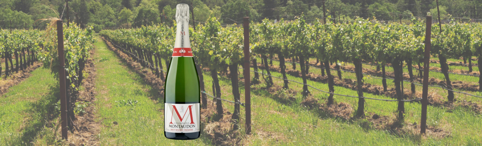 Montaudon Champagne’s Brut Tradition: Famous for a Reason - Cork and ...