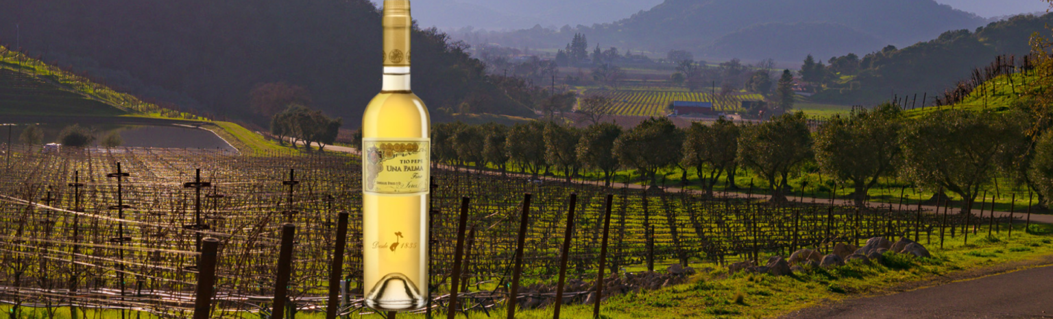 Exploring Tio Pepe Fino Sherry Tres Palmas: History, Flavor Profile ...